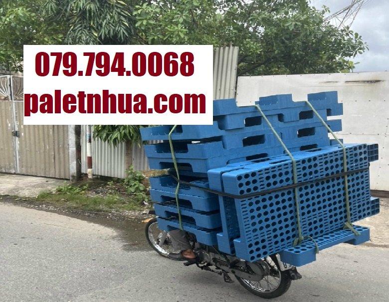 Mẫu pallet nhựa chuyên kê hàng xuất khẩu